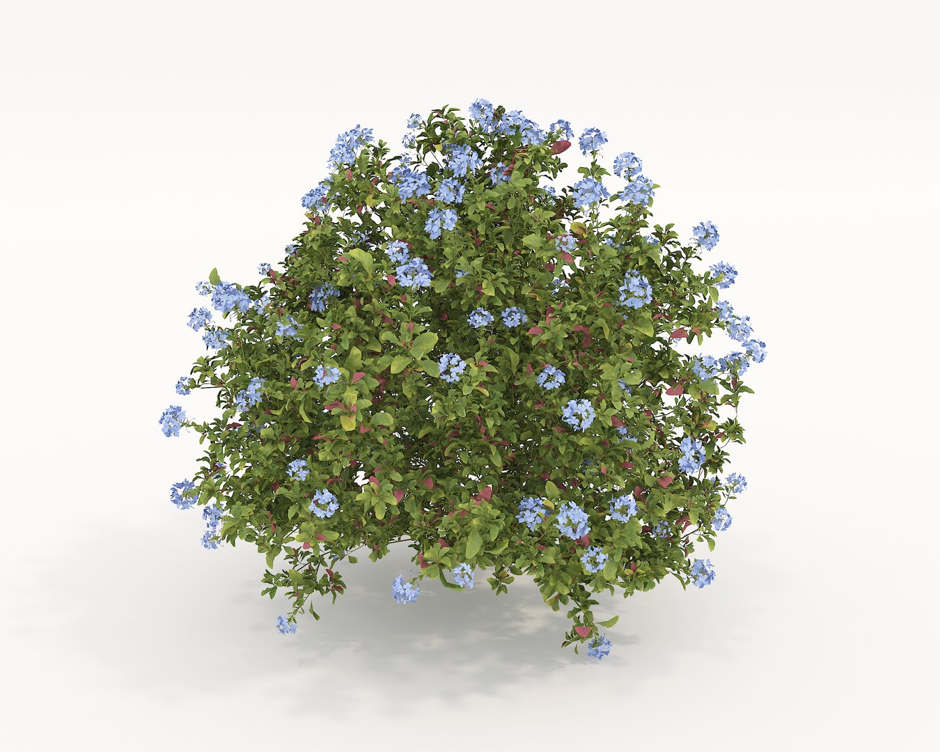 3D Realistic Shrub Bush Set 6 model - TurboSquid 2061662