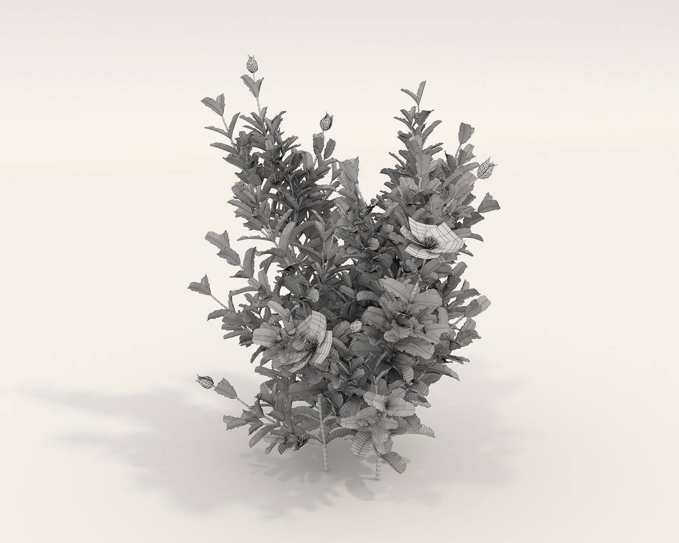 3D Realistic Shrub Bush Set 6 model - TurboSquid 2061662