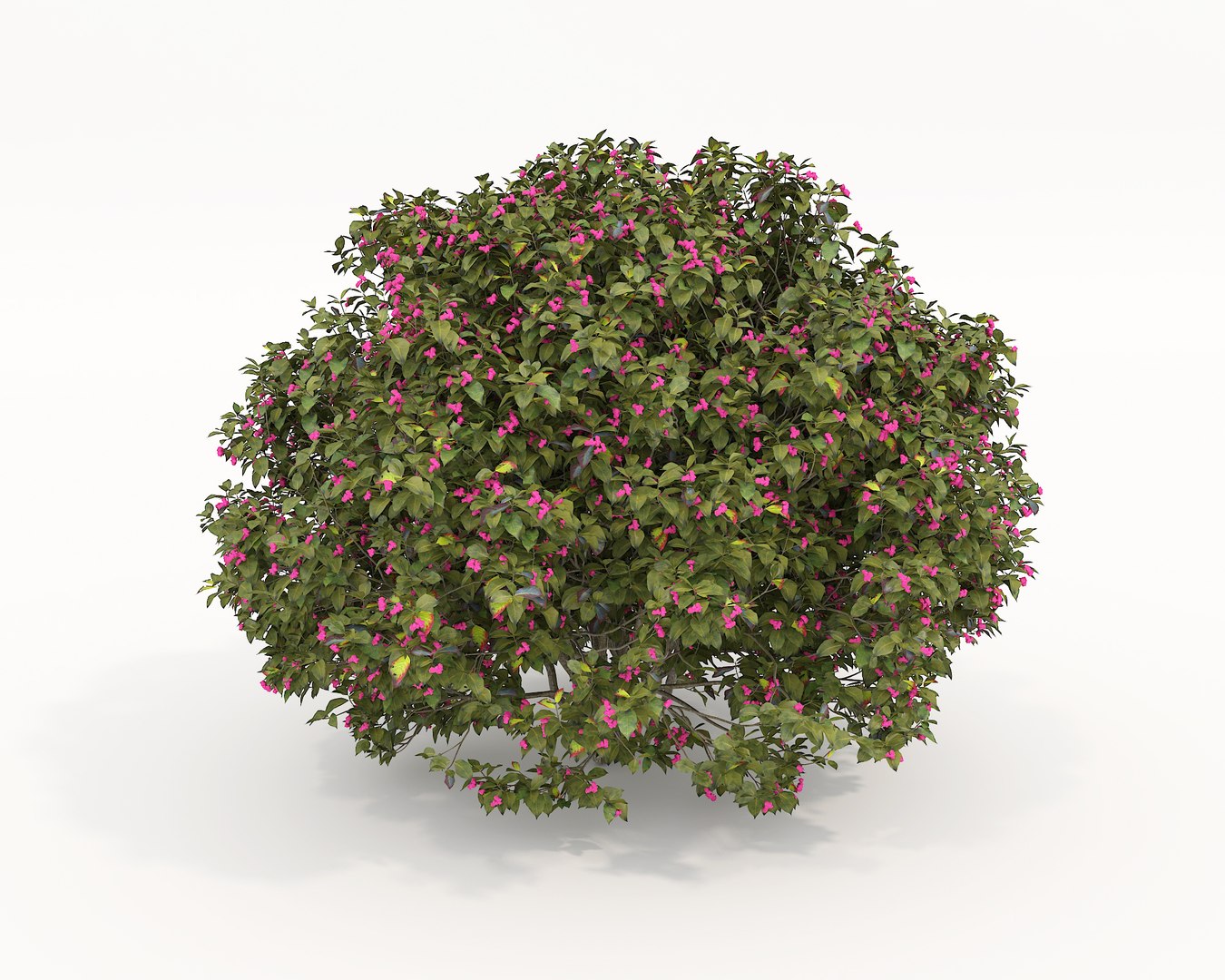 3D Realistic Shrub Bush Set 6 model - TurboSquid 2061662