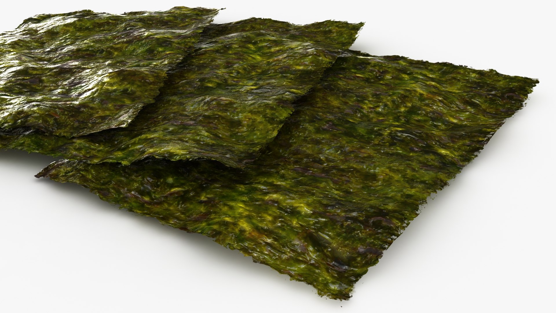 3D Nori - TurboSquid 2133406