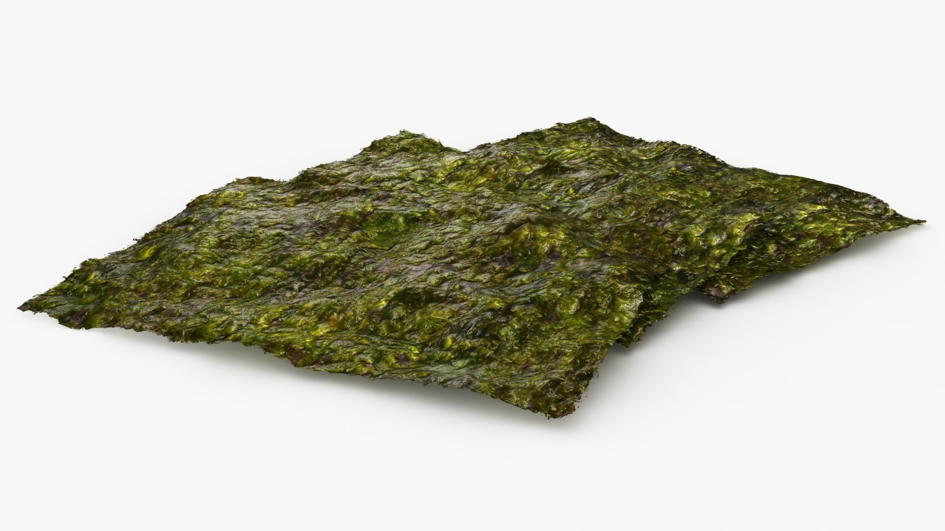 3D Nori - TurboSquid 2133406