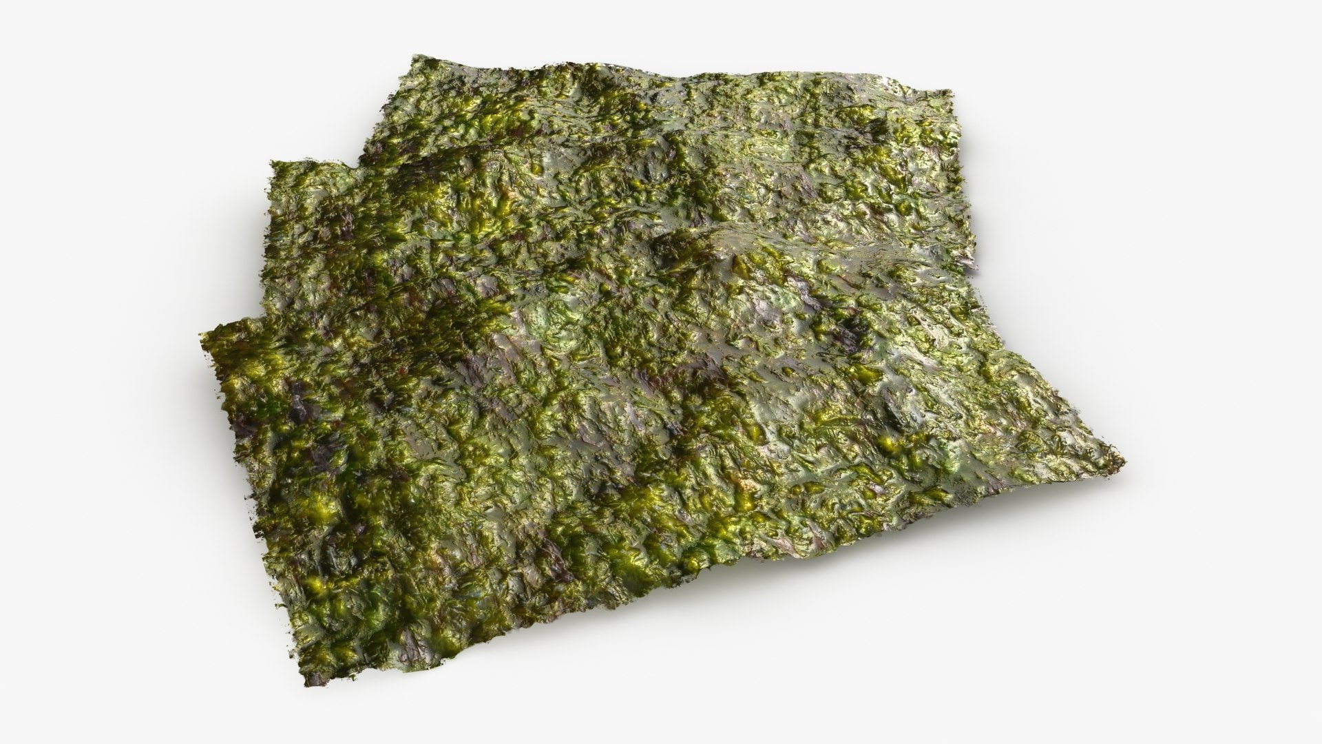 3D Nori - TurboSquid 2133406