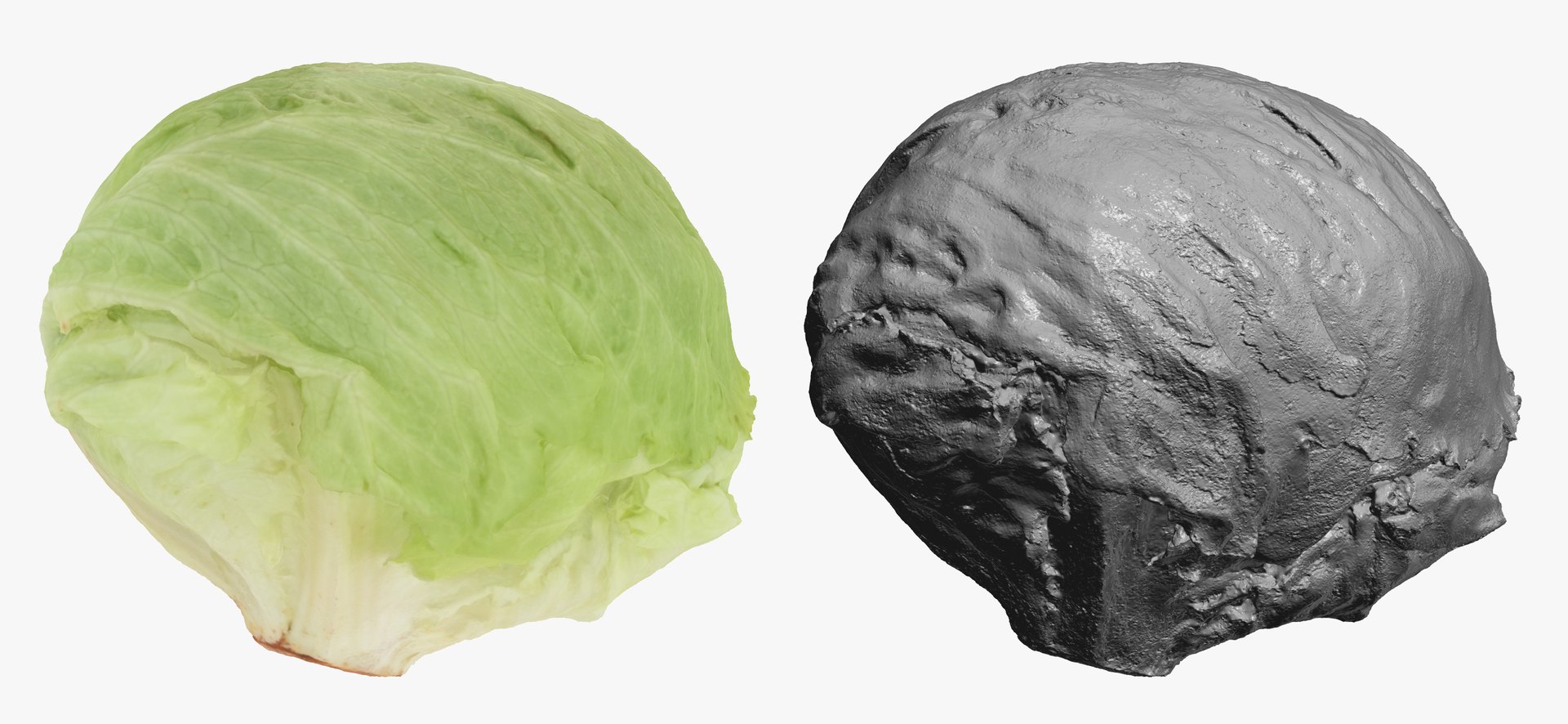 3D Lettuce Collection 01 - 2 Models RAW Scans - TurboSquid 1877824