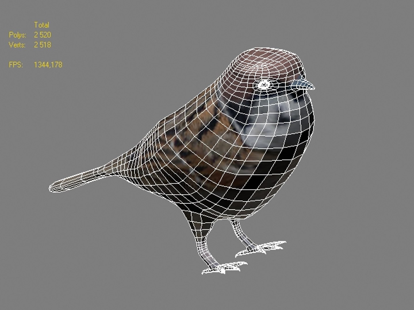 3d Pigeon Nightingale Robin Sparrow