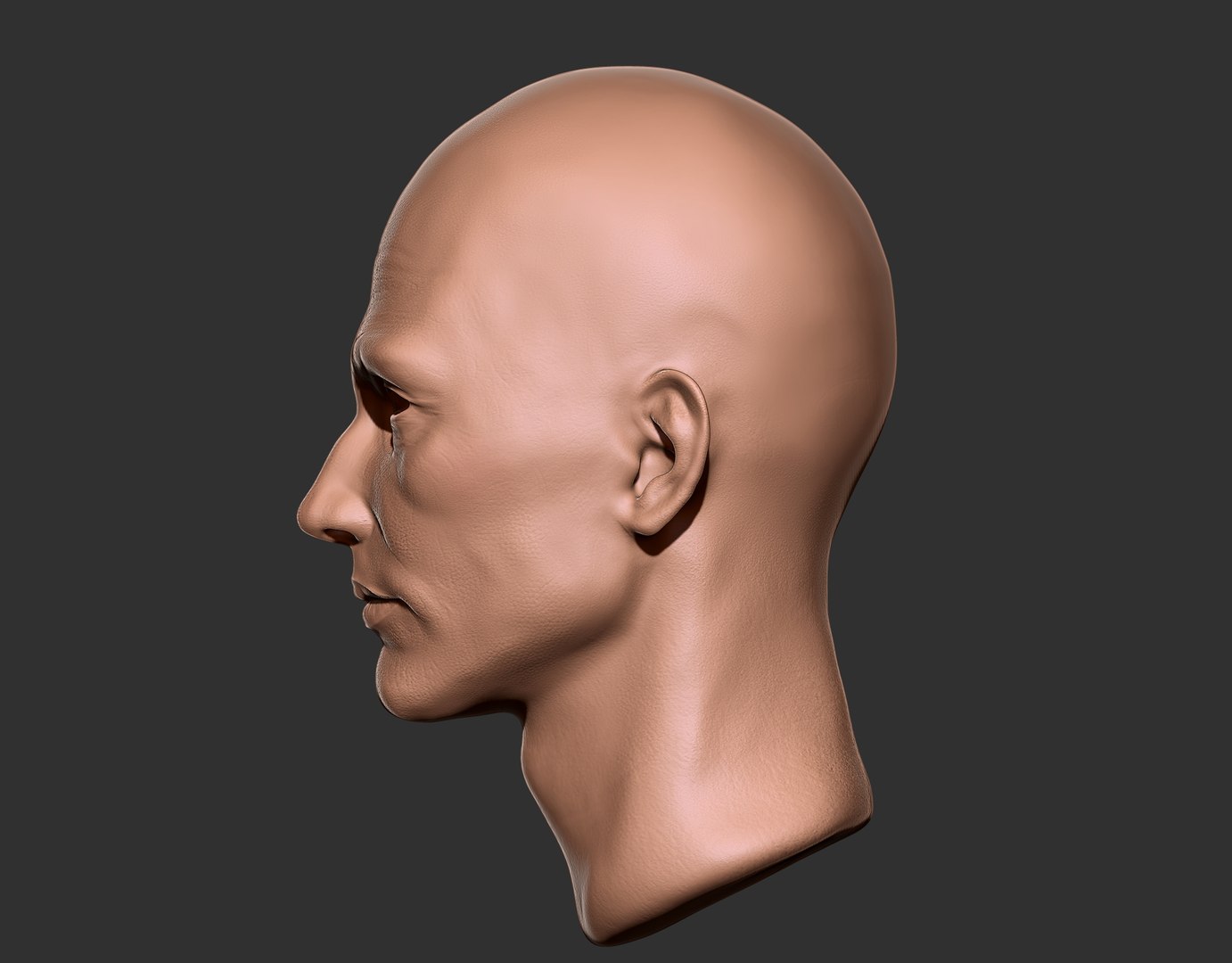 Realistic Male Head Model - TurboSquid 2043651