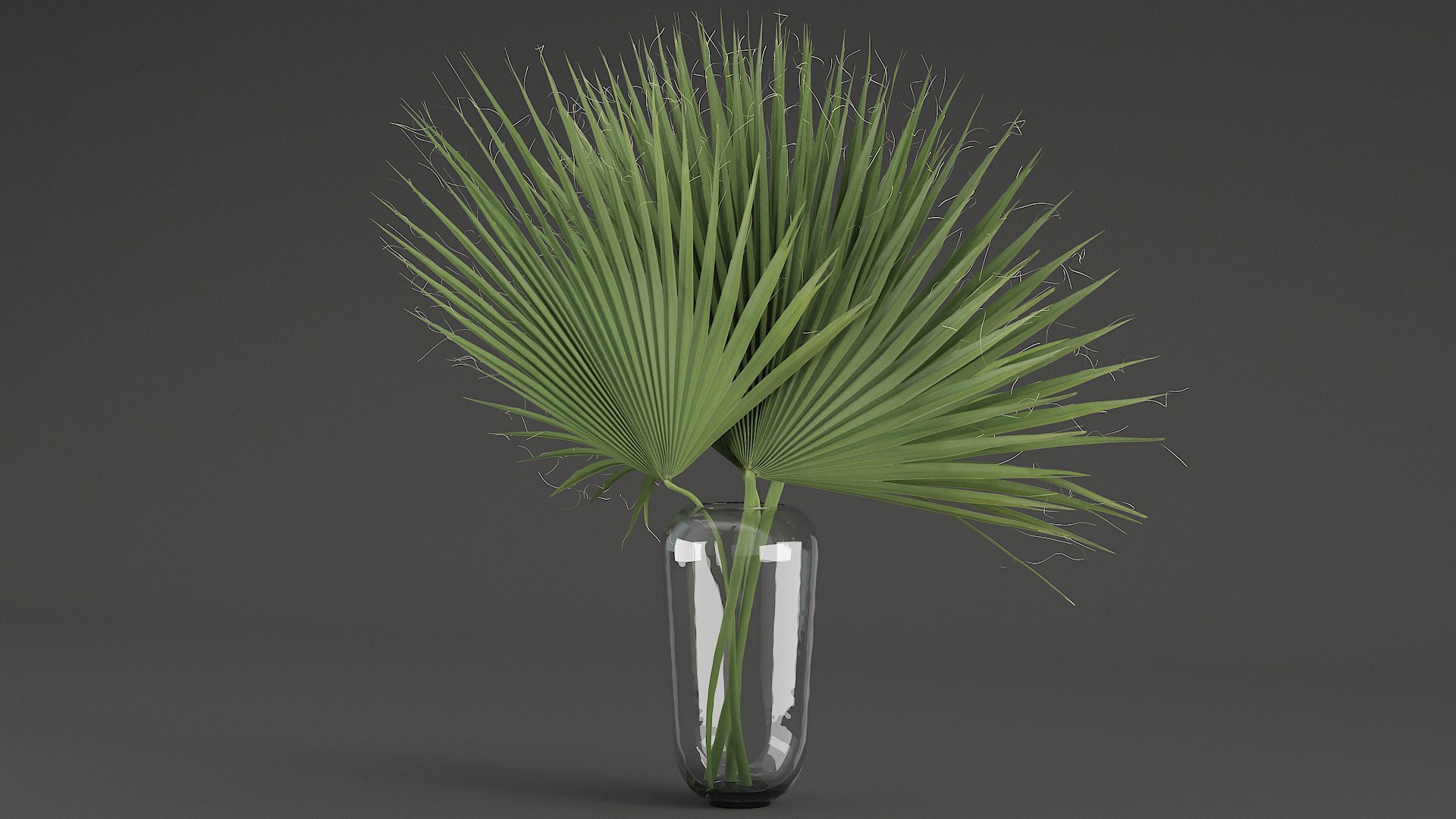 Palm Leaves 3D Model - TurboSquid 1631466