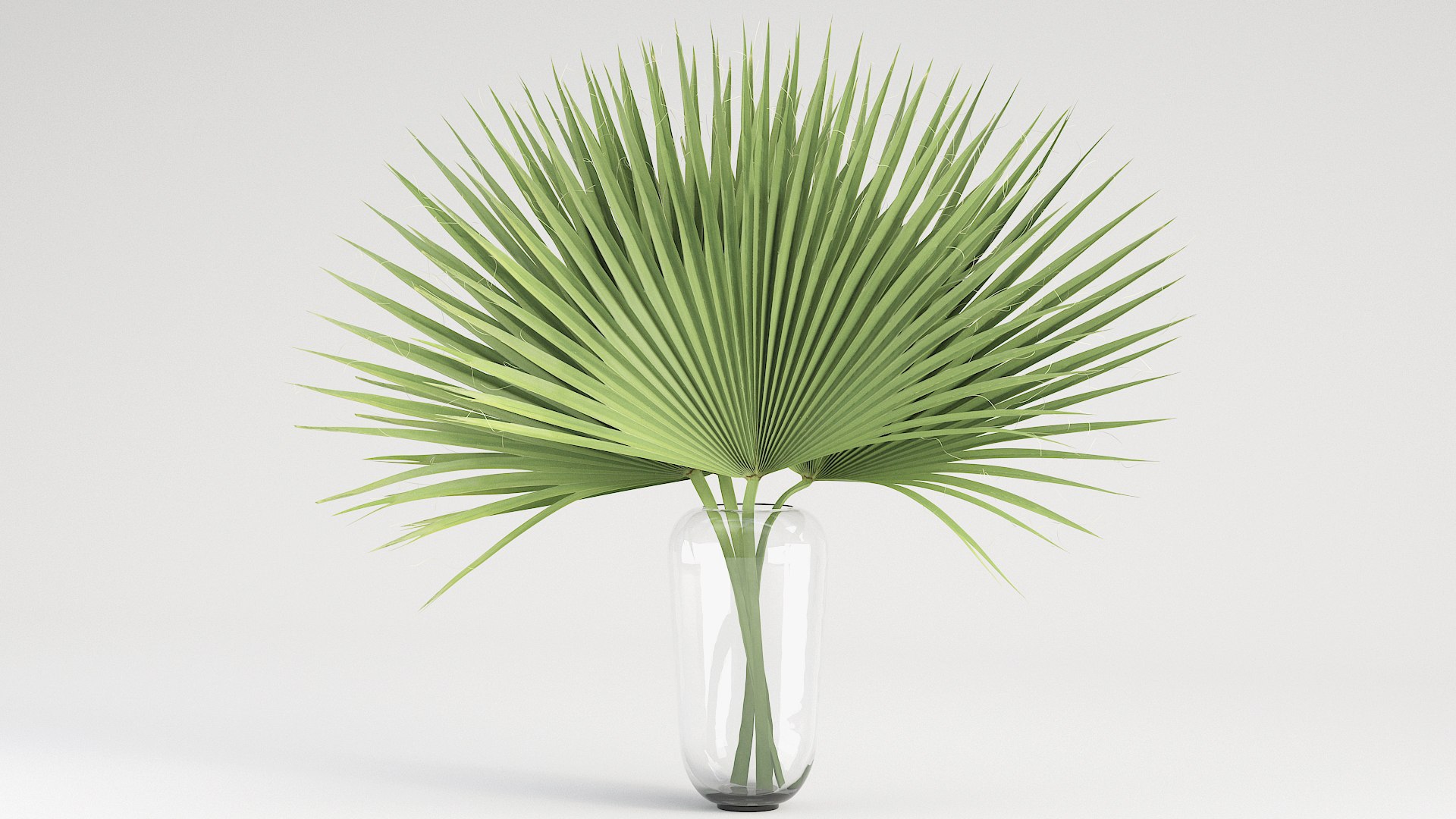 Palm Leaves 3D Model - TurboSquid 1631466