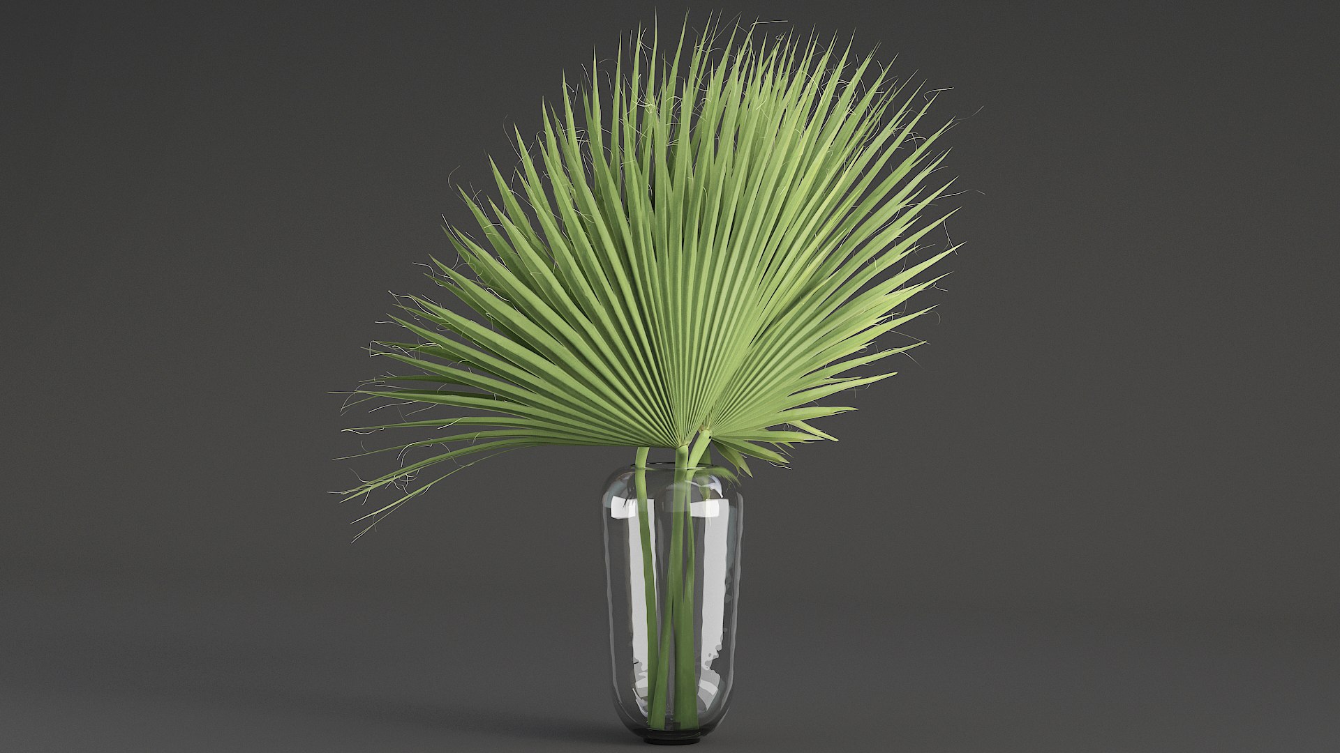 Palm Leaves 3D Model - TurboSquid 1631466