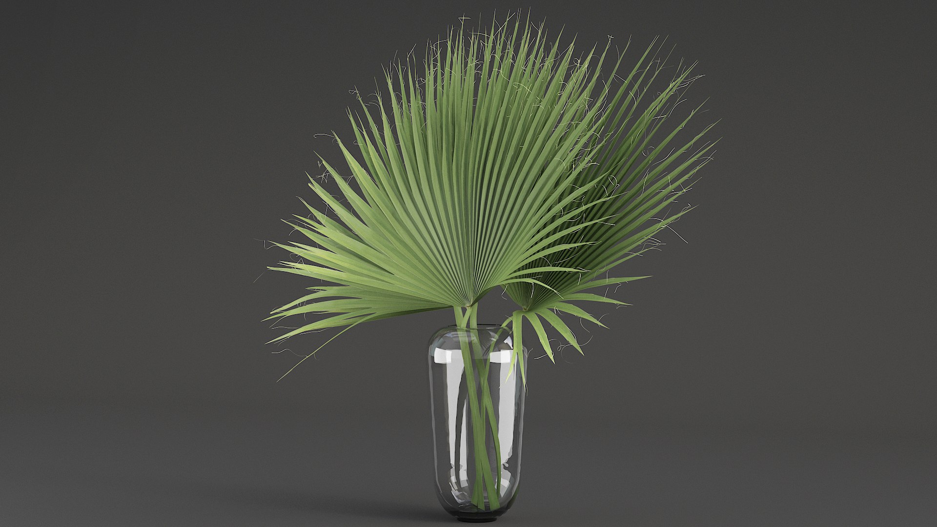 Palm Leaves 3D Model - TurboSquid 1631466