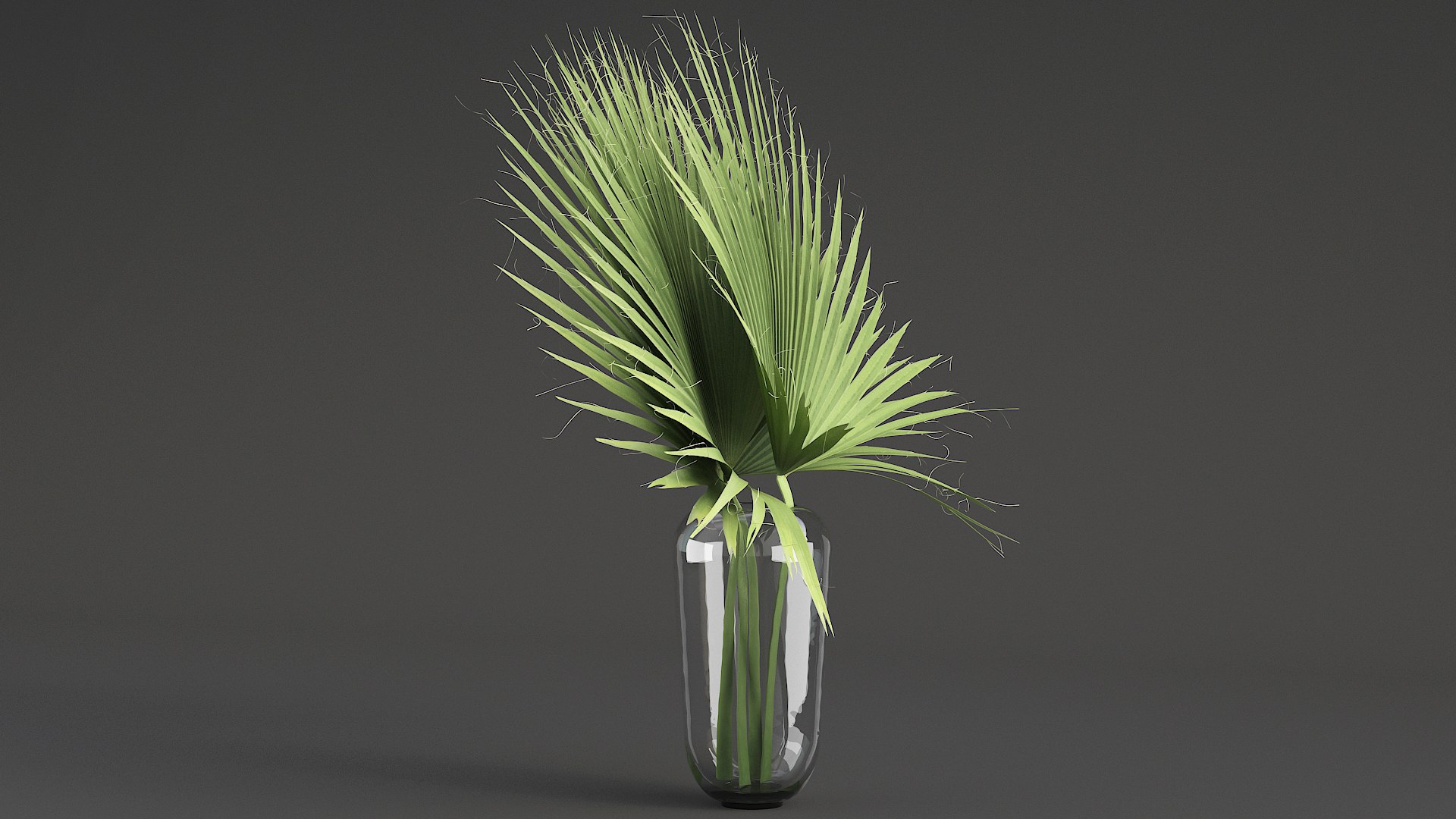 Palm Leaves 3D Model - TurboSquid 1631466