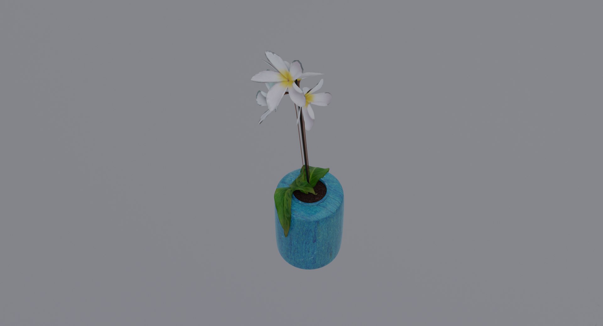 Flower Pot 3D model - TurboSquid 2103928