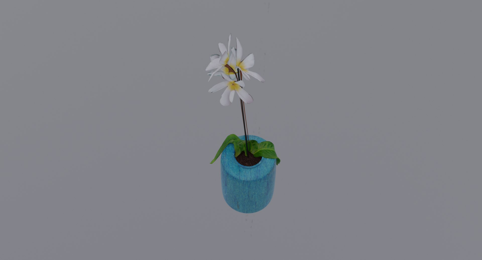 Flower Pot 3D model - TurboSquid 2103928