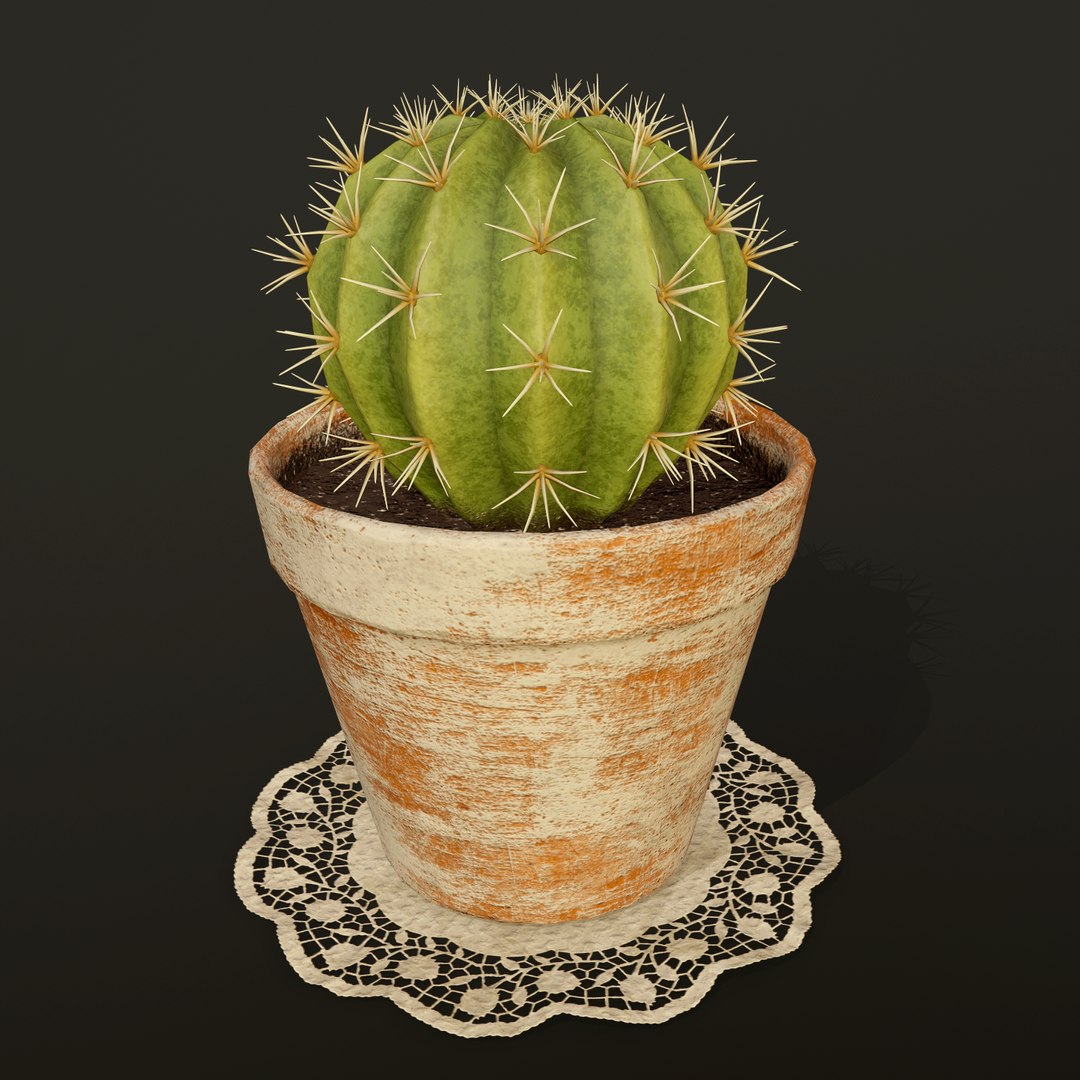 3D Cactus Ready Pbr - Model - TurboSquid 1620857