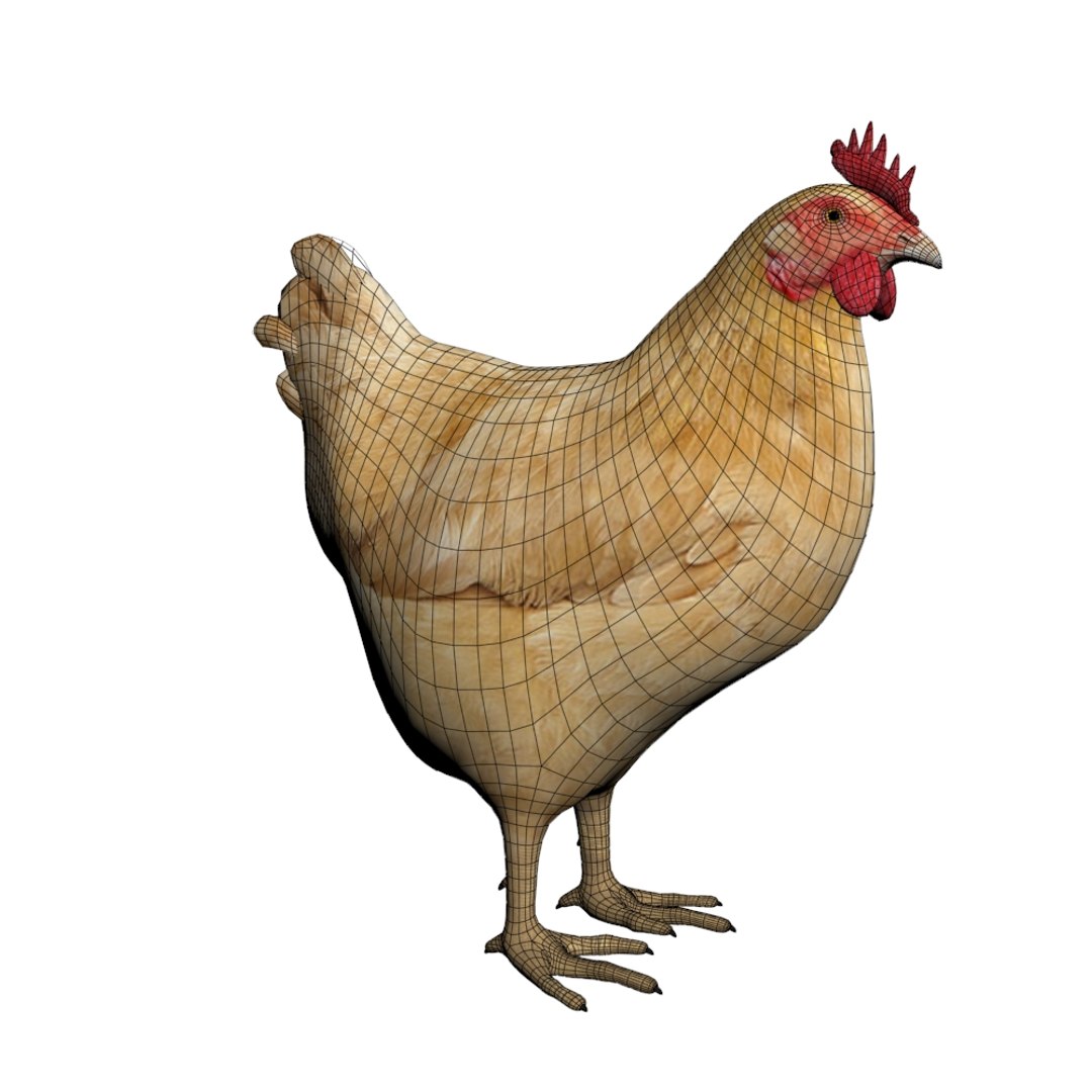 Hen 3D Model - TurboSquid 1167556