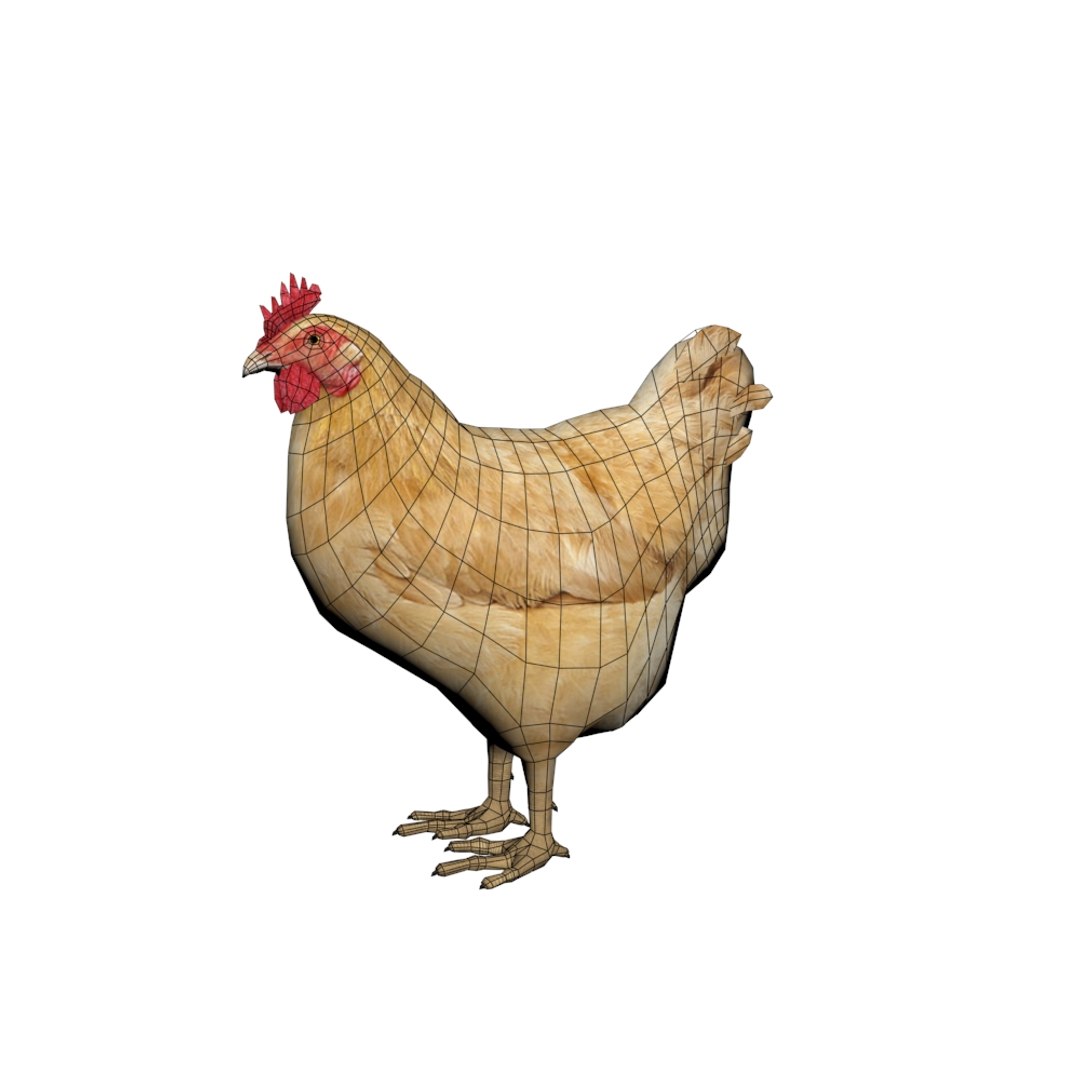 Hen 3D Model - TurboSquid 1167556