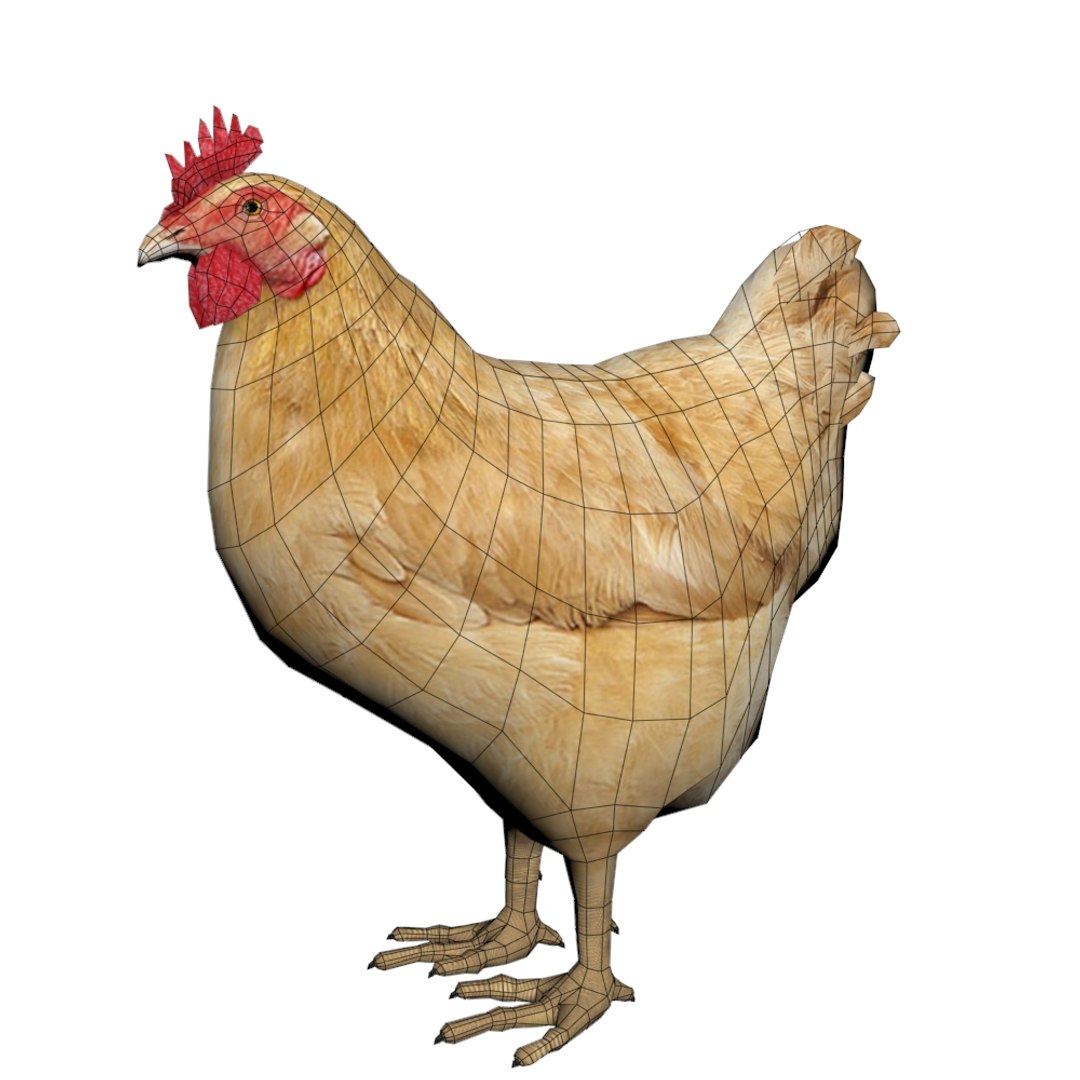 Hen 3D Model - TurboSquid 1167556