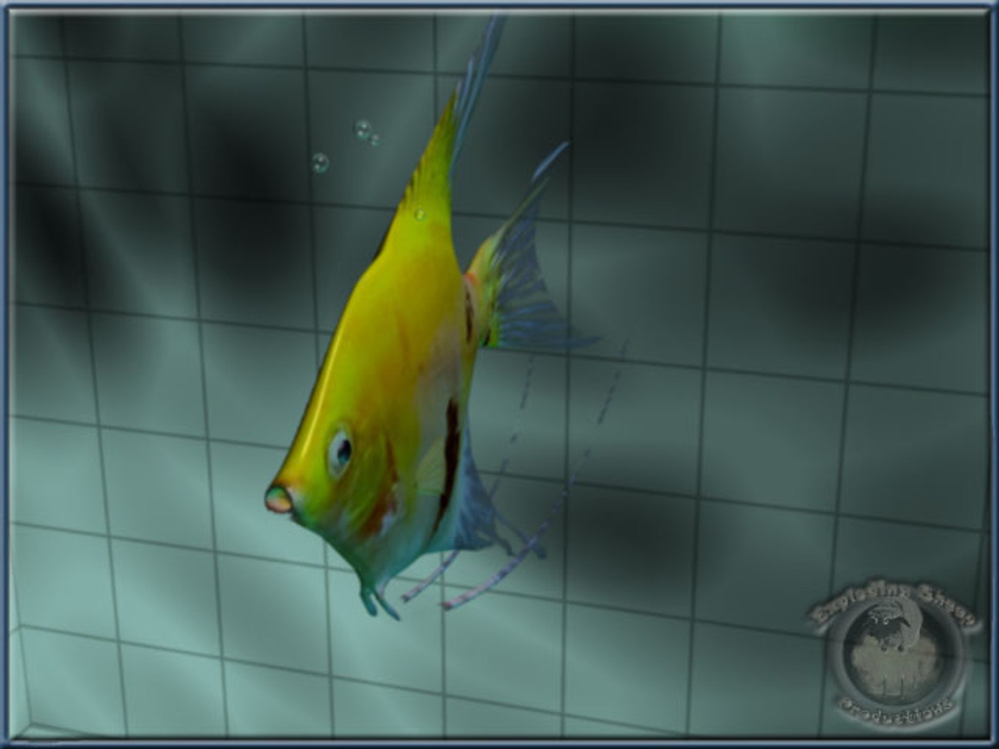 Angel-fish Animation Lwo