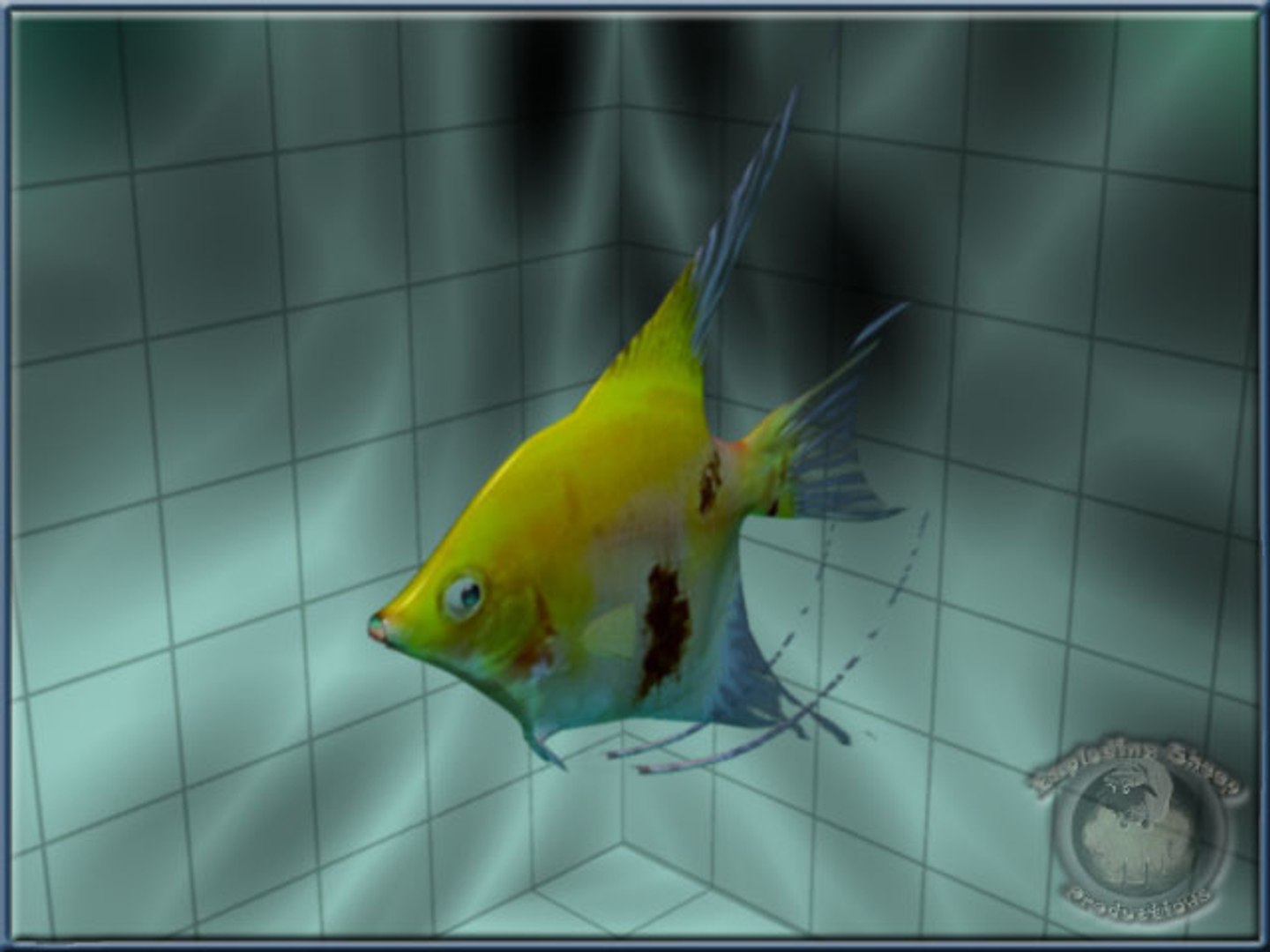 Angel-fish Animation Lwo