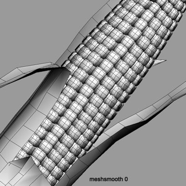 corn ear 3d model