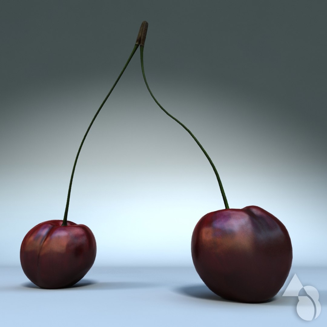 cherries 3d model