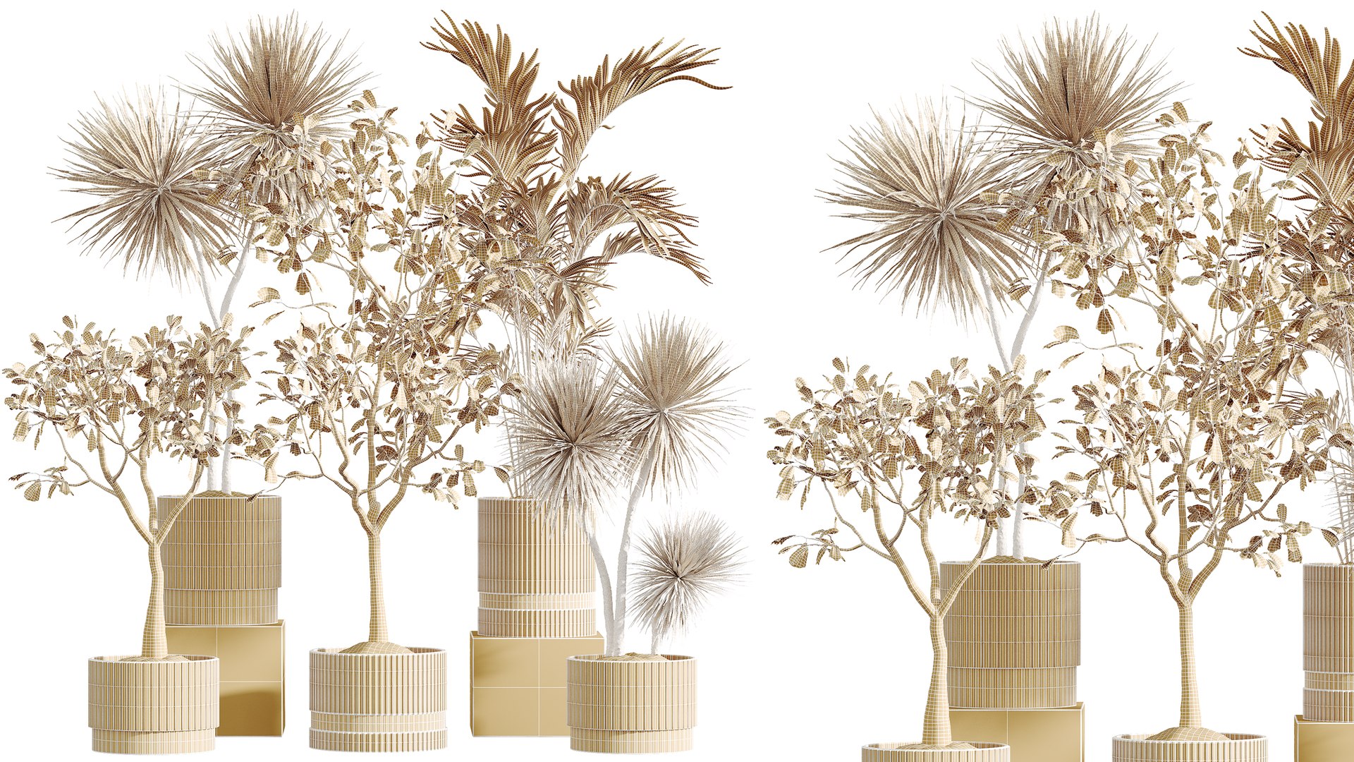 3D Model AV Indoor Plants Set 275 Mega Pack Yucca Areca Palm Japandi ...
