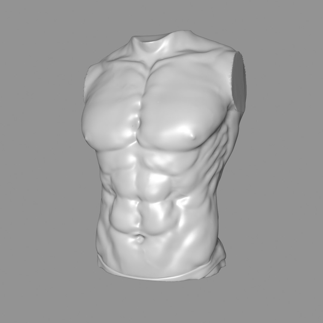 Man Torso 3D Model - TurboSquid 1234931