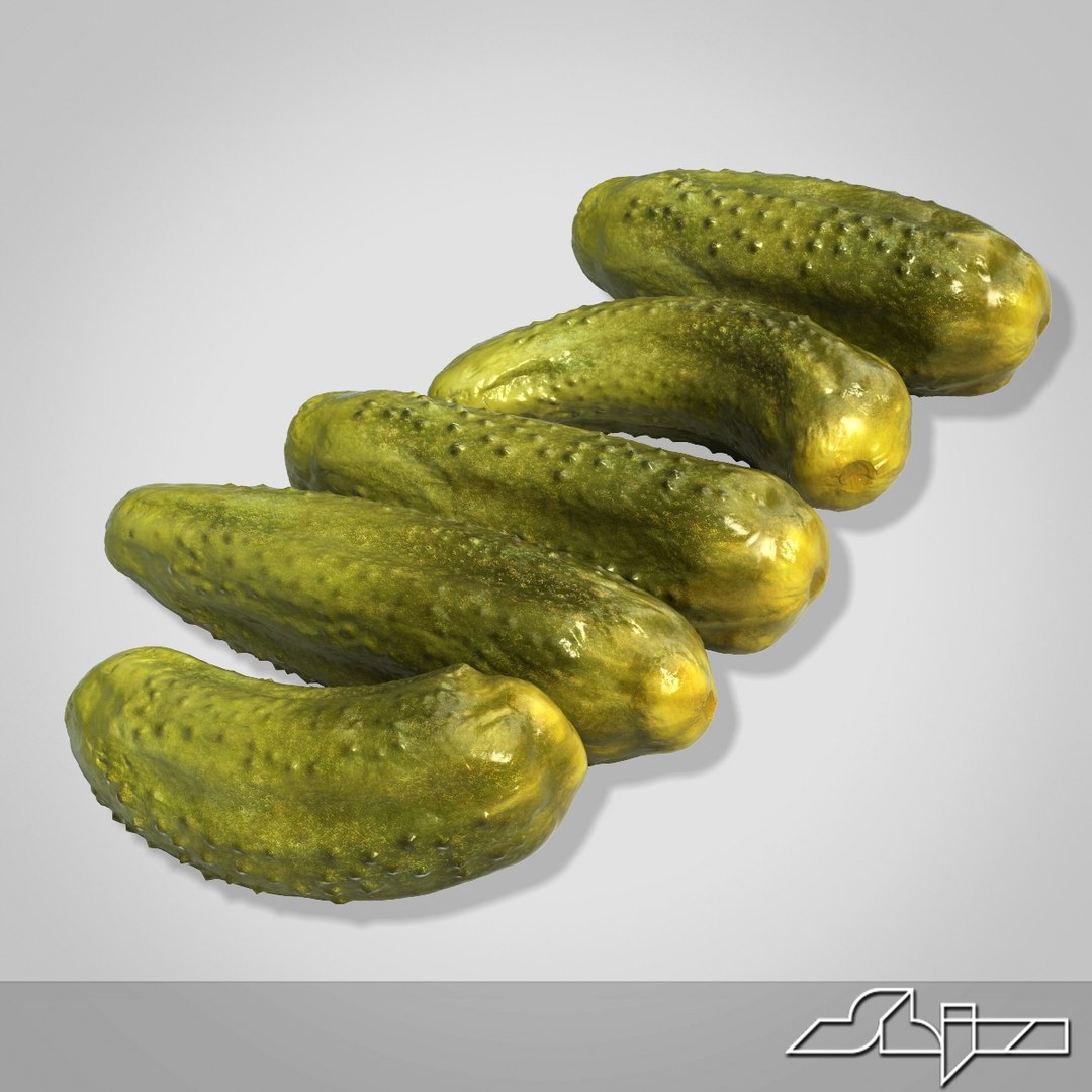 3d Model Pickles Modeled