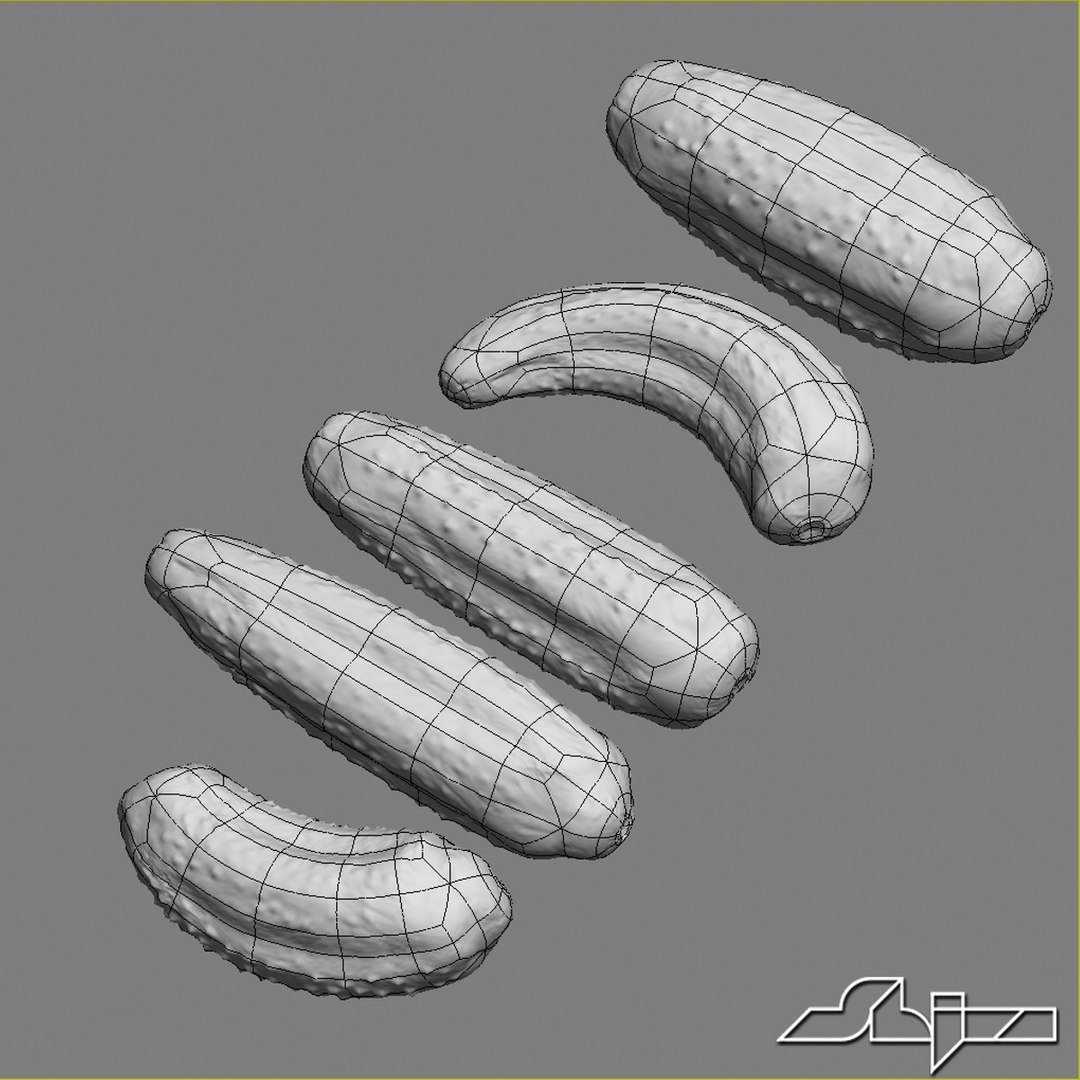 3d Model Pickles Modeled