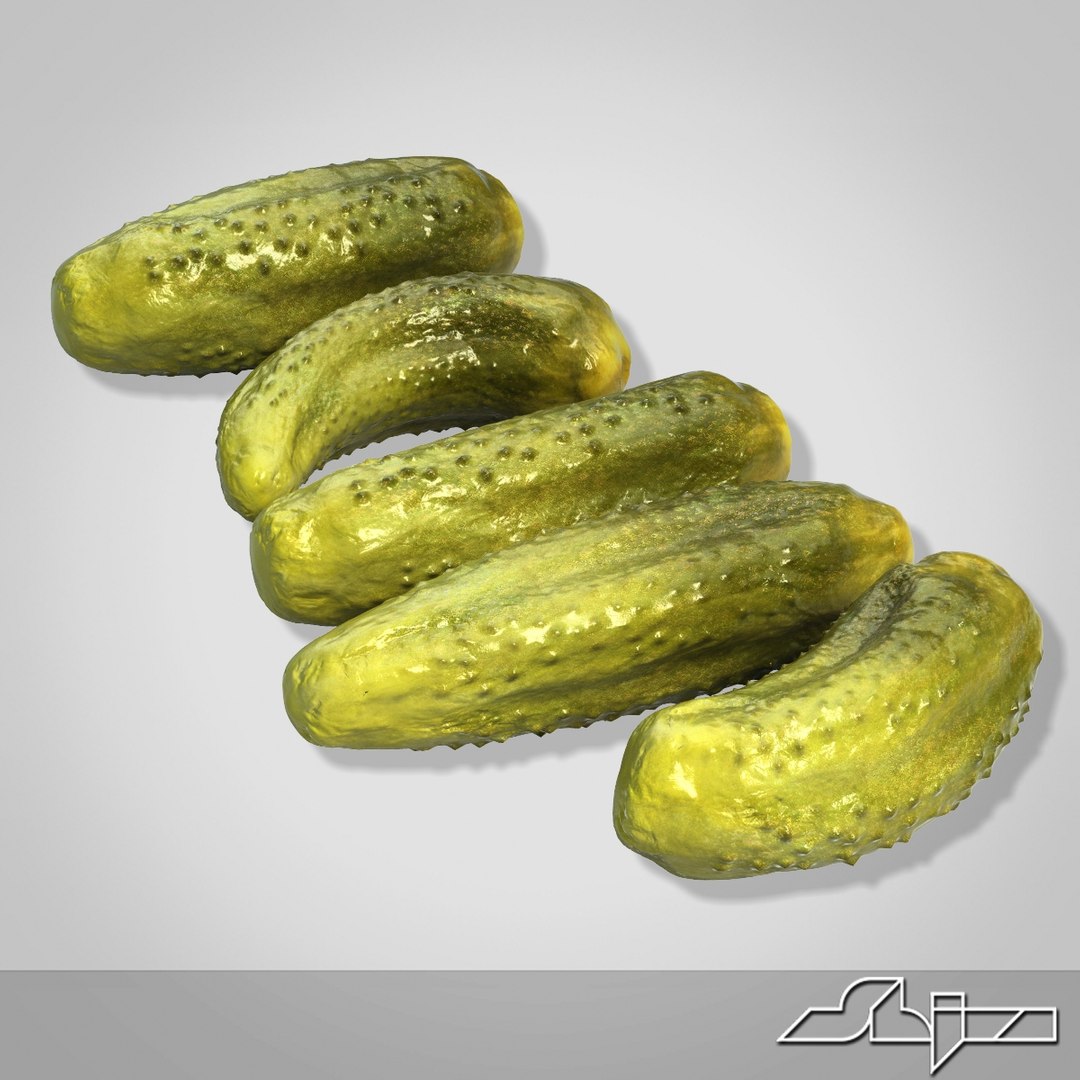3d Model Pickles Modeled