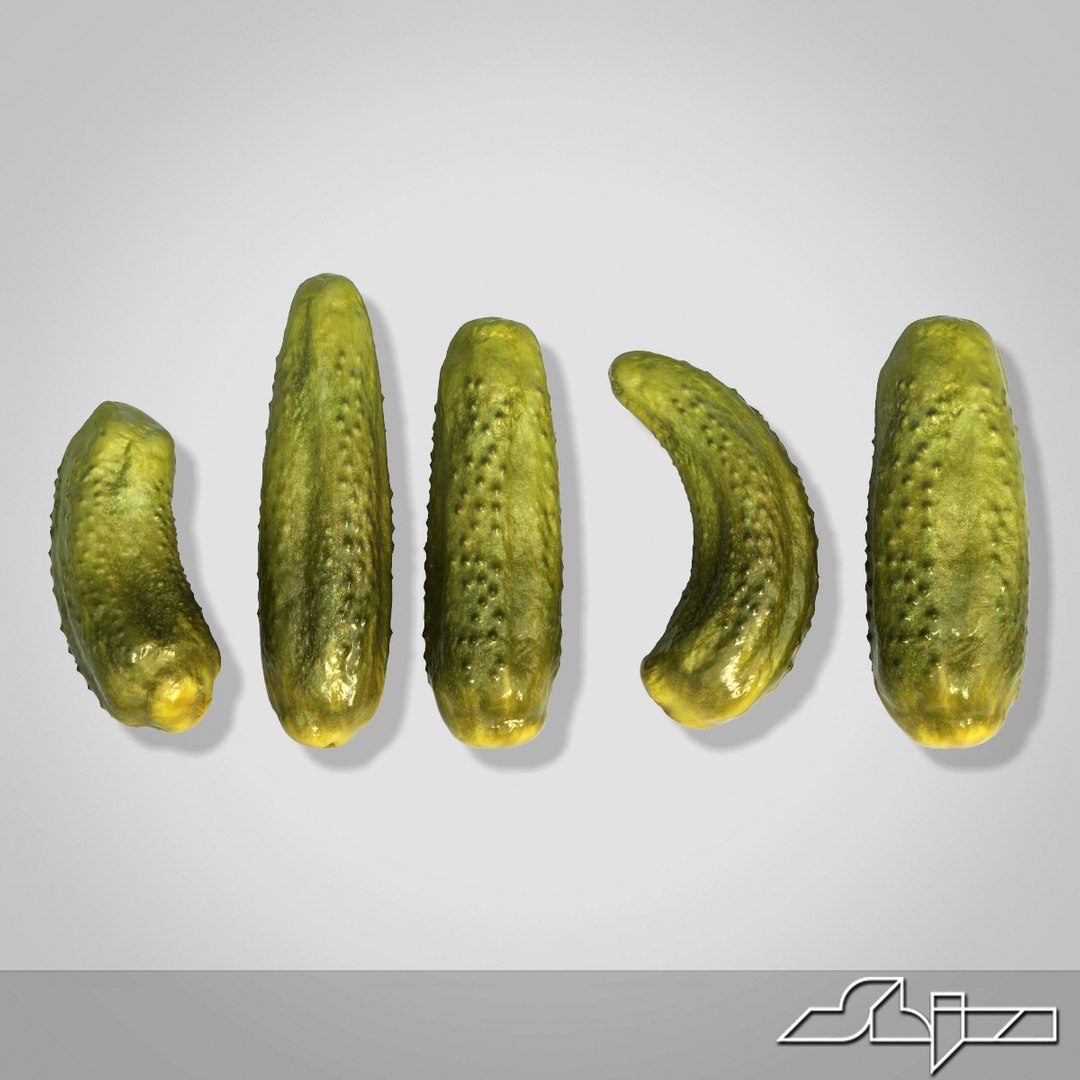 3d Model Pickles Modeled