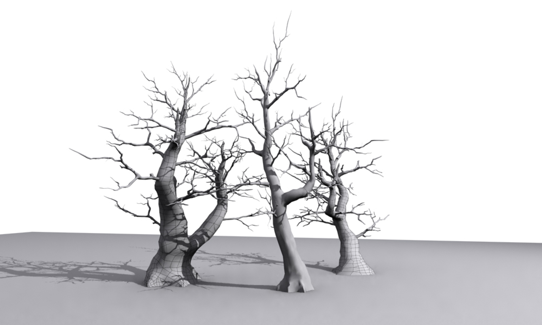 Max Trees Modelled