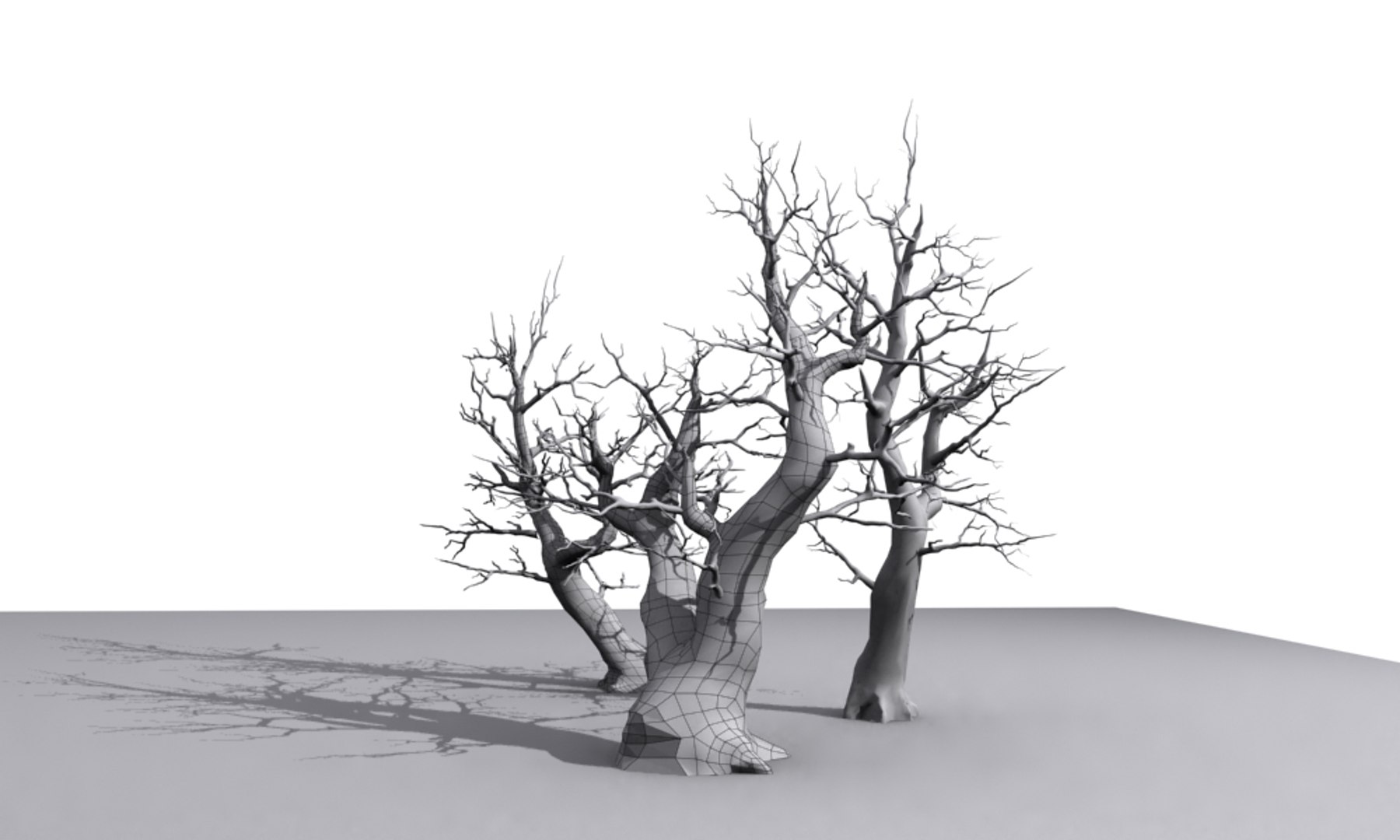 Max Trees Modelled