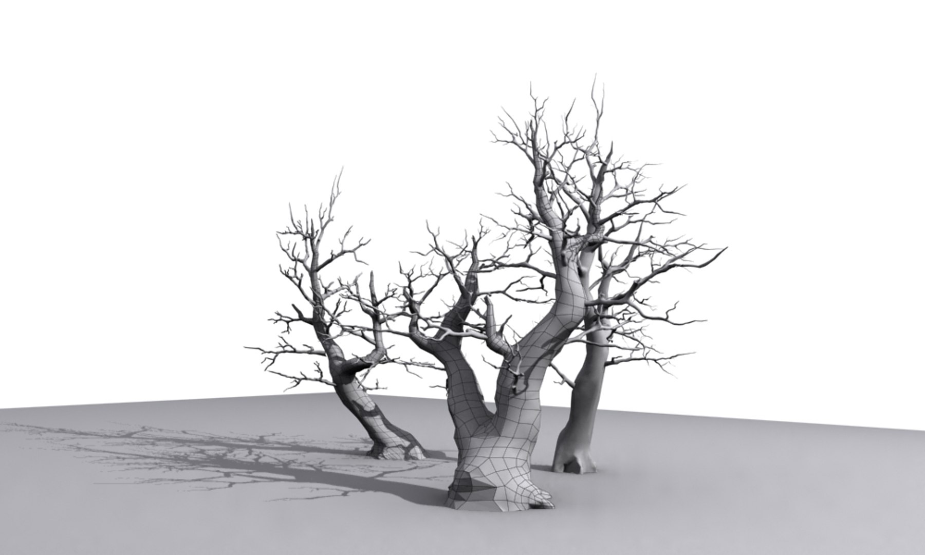 Max Trees Modelled