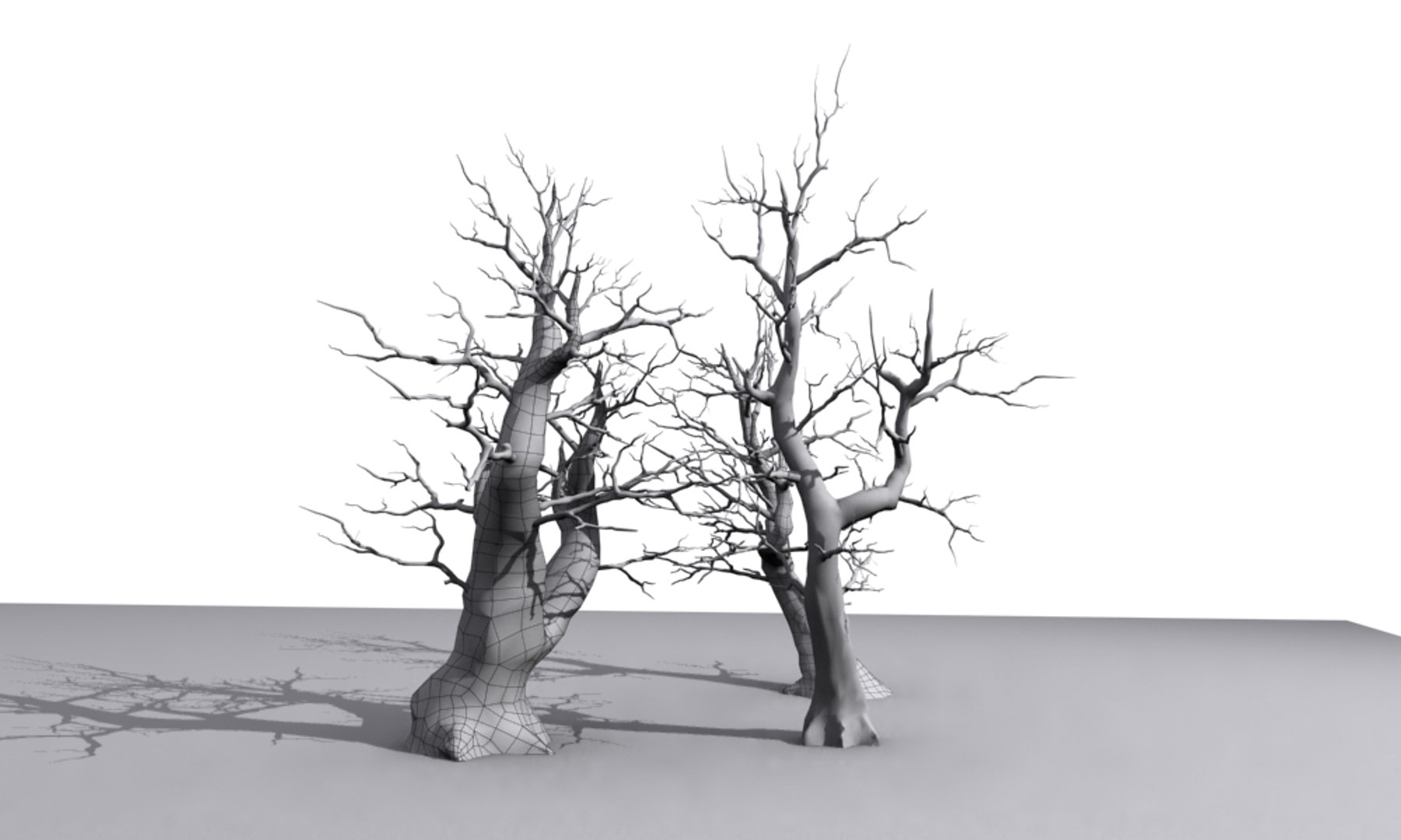 Max Trees Modelled