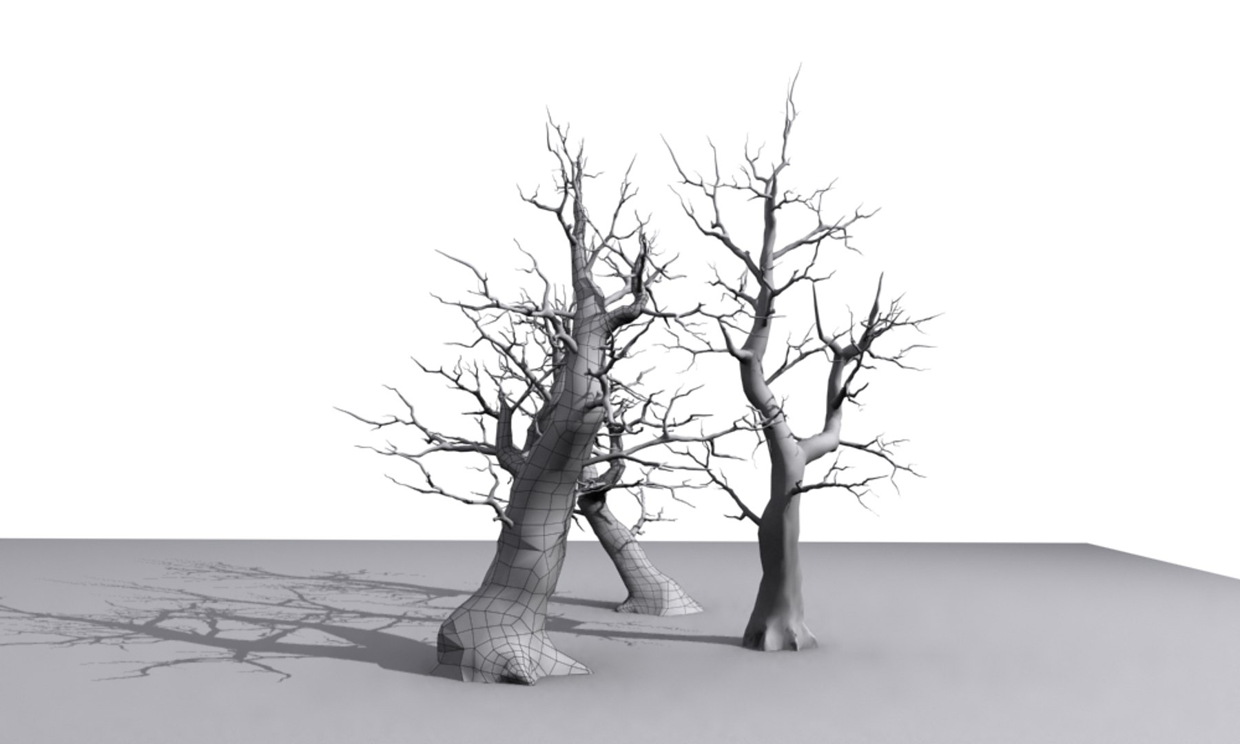 Max Trees Modelled