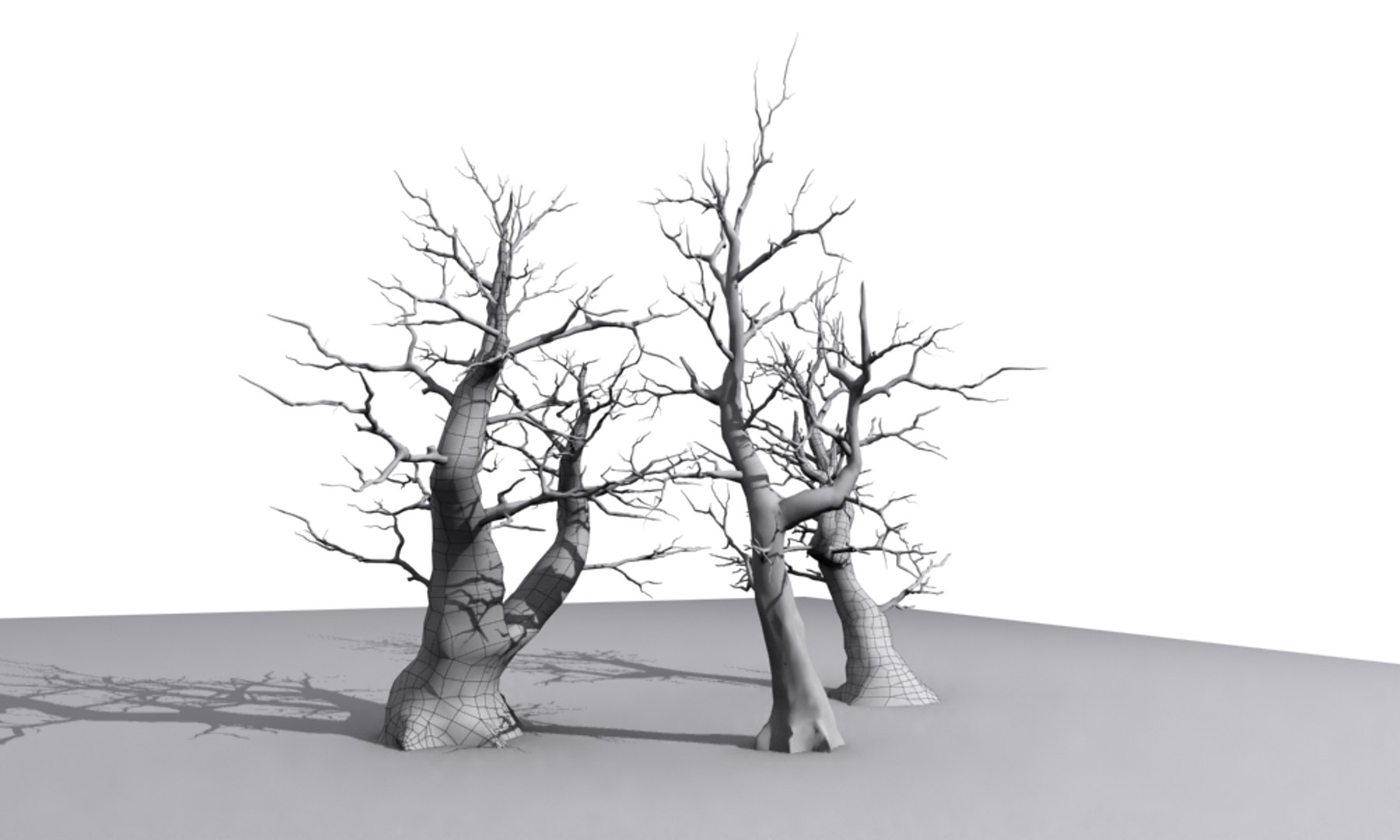 Max Trees Modelled