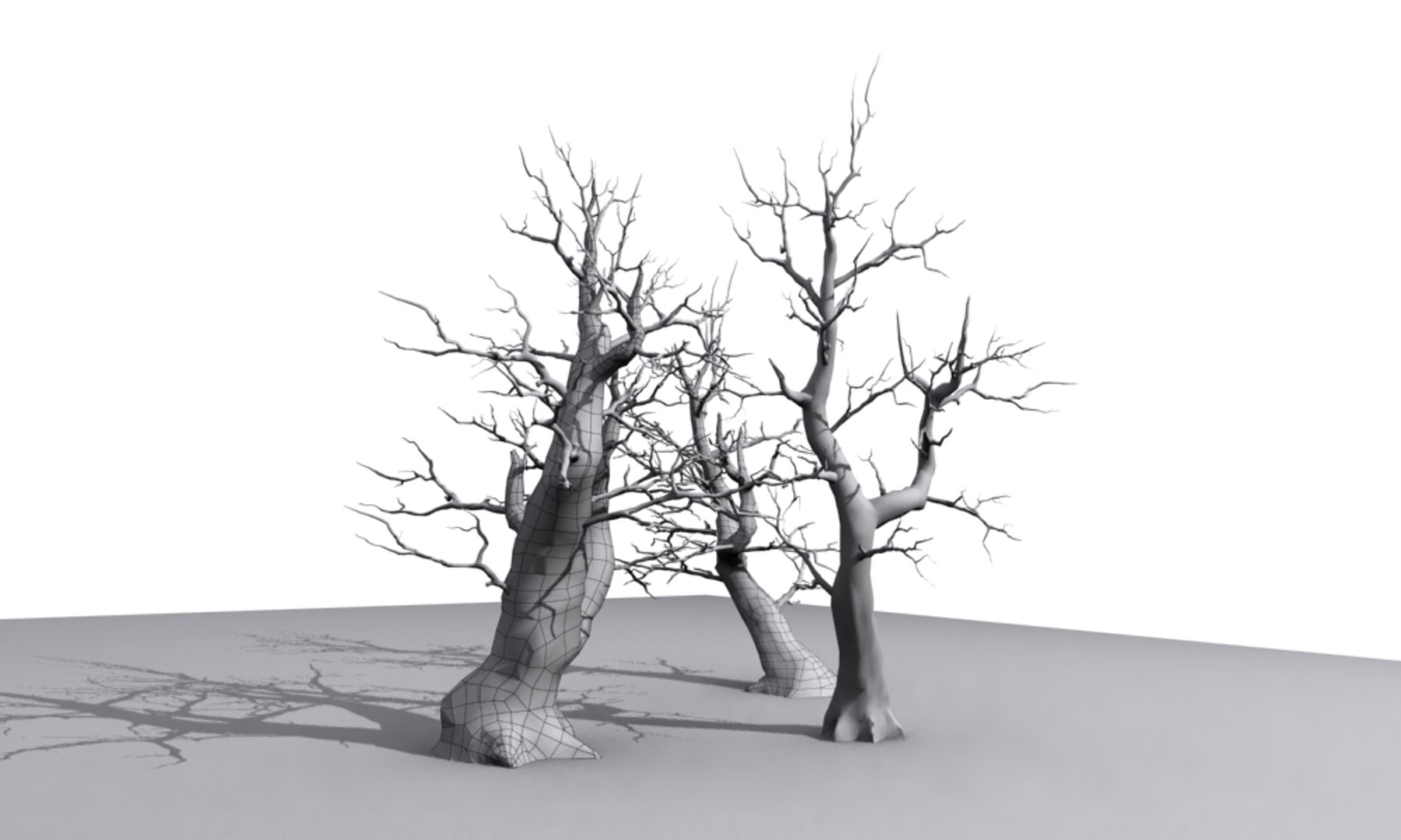 Max Trees Modelled