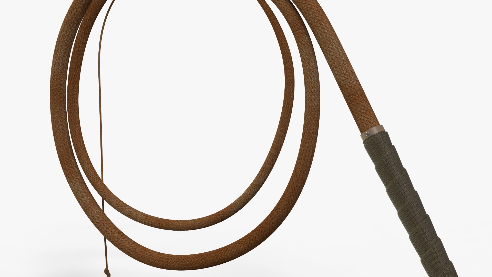 Whip Lasso 3D Model - TurboSquid 1468468