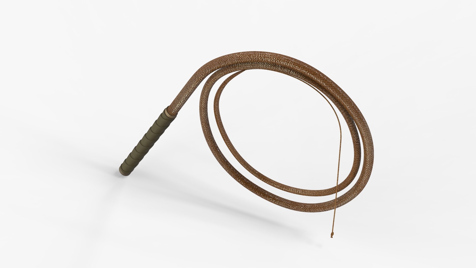Whip Lasso 3D Model - TurboSquid 1468468