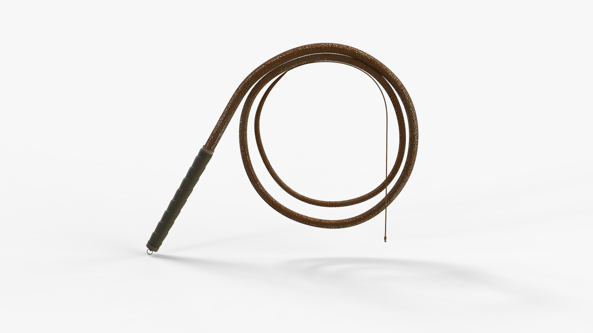 Whip Lasso 3D Model - TurboSquid 1468468