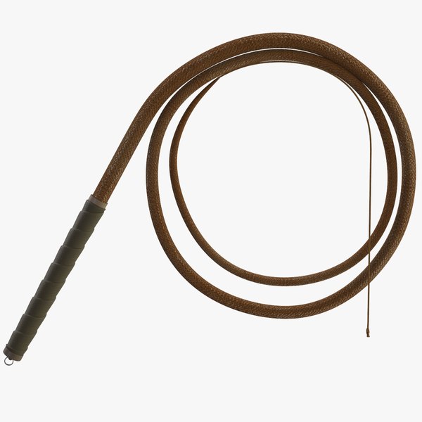 Whip lasso 3D model - TurboSquid 1468468