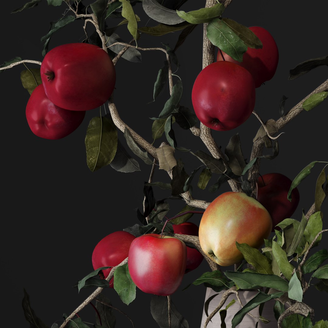 3D Model Red Cherry Tomato Apple - TurboSquid 1522934