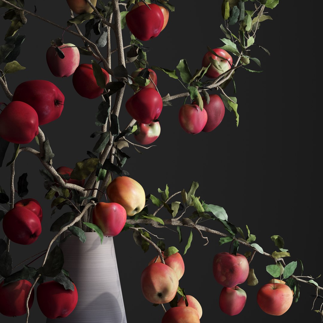 3D Model Red Cherry Tomato Apple - TurboSquid 1522934