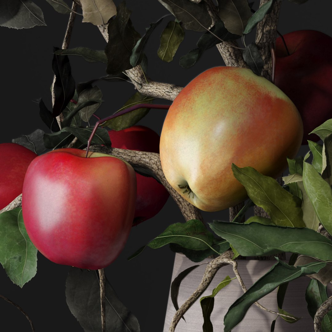 3D Model Red Cherry Tomato Apple - TurboSquid 1522934
