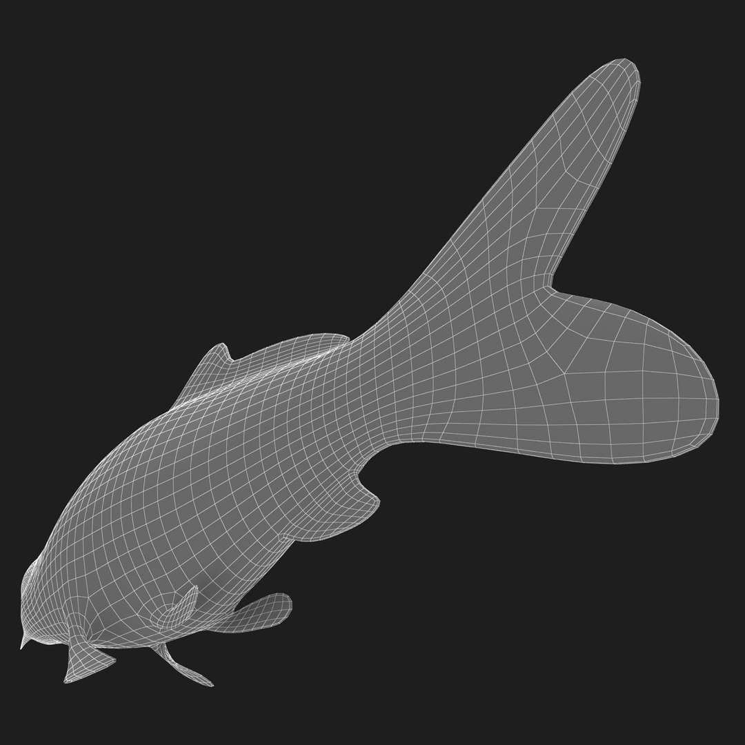 3D Koi Fish Scanline Model | 1142865 | TurboSquid