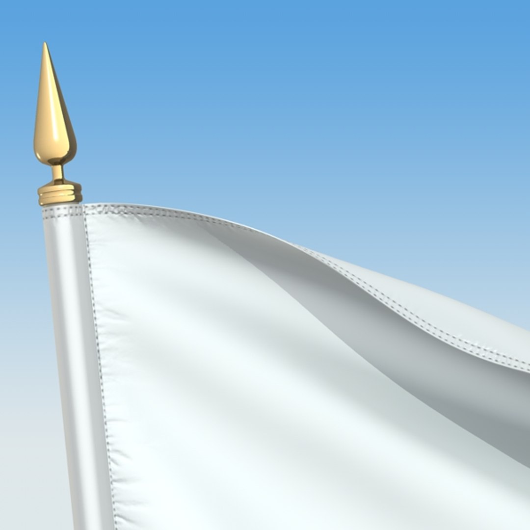 3d Animation Waving Flag Model