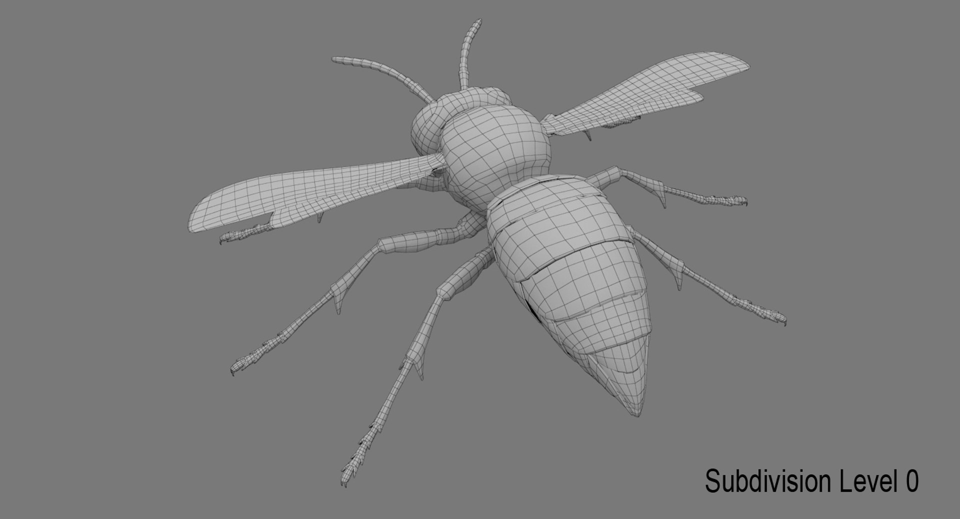 Bald Faced Hornet 3D Model - TurboSquid 1291778