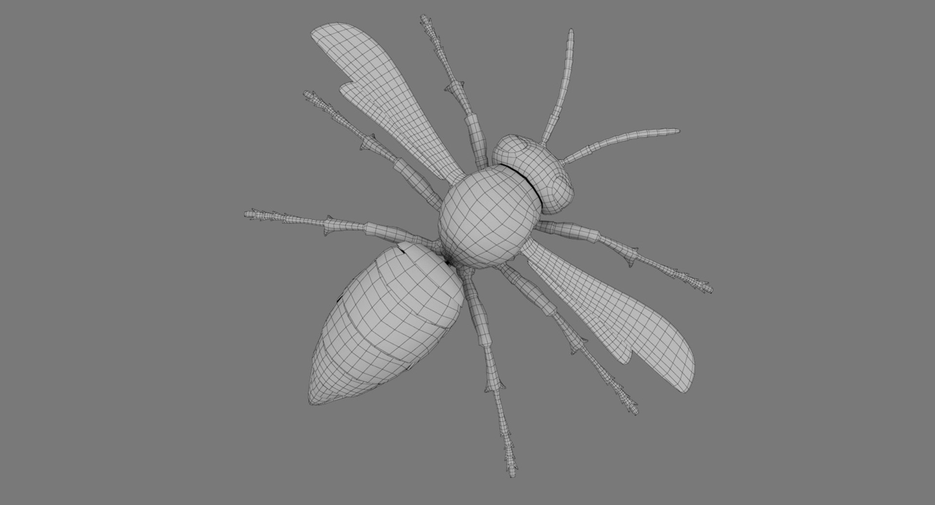 Bald Faced Hornet 3D Model - TurboSquid 1291778