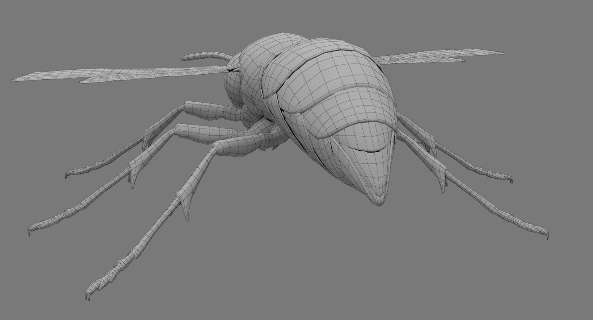 Bald Faced Hornet 3D Model - TurboSquid 1291778
