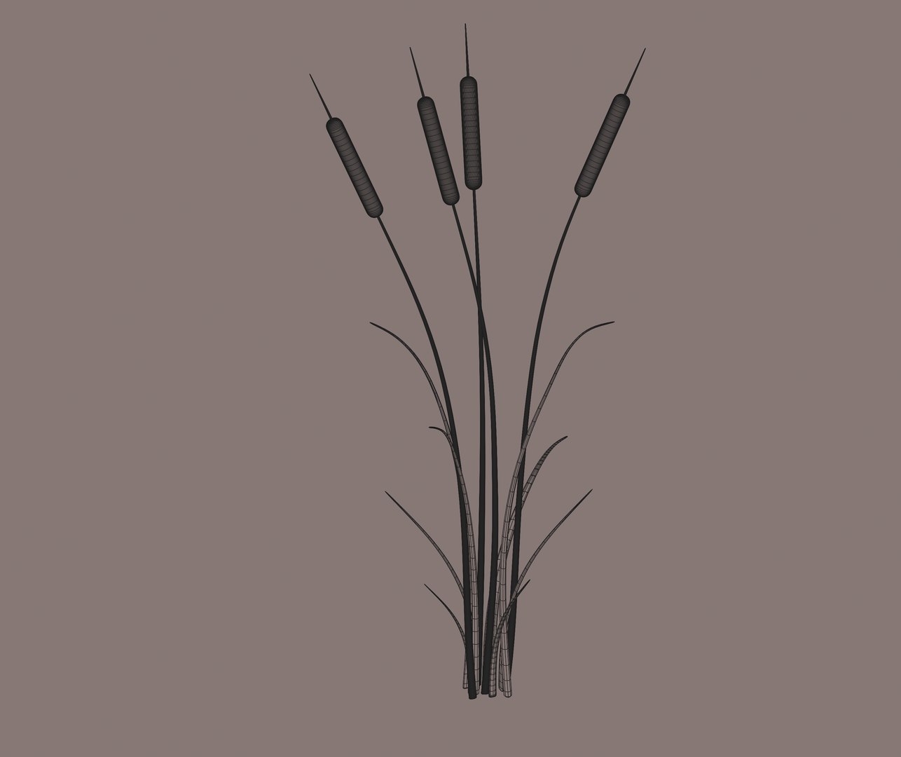 Cattail Model - TurboSquid 1757214